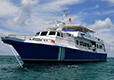Top 4 Best Bahamas Liveaboard Diving Trips • The Adventure Junkies