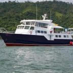 Top 4 Best Bahamas Liveaboard Diving Trips • The Adventure Junkies