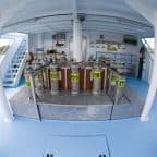 Top 4 Best Bahamas Liveaboard Diving Trips • The Adventure Junkies