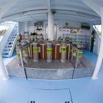 Top 4 Best Bahamas Liveaboard Diving Trips • The Adventure Junkies
