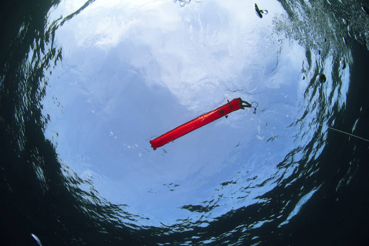 Top 9 Best Dive Compasses of 2025 • The Adventure Junkies