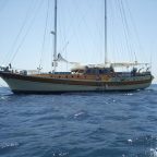 Top 2 Best Djibouti Liveaboard Diving Trips • The Adventure Junkies