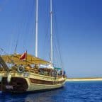 Top 2 Best Djibouti Liveaboard Diving Trips • The Adventure Junkies