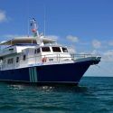 Top 4 Best Bahamas Liveaboard Diving Trips • The Adventure Junkies